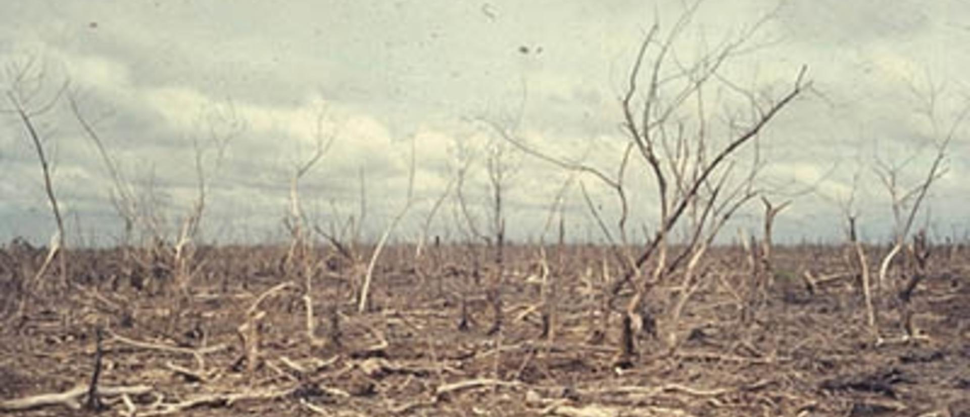 Investigations: Sverdlovsk Anthrax, Yellow Rain, Herbicides | Meselson ...
